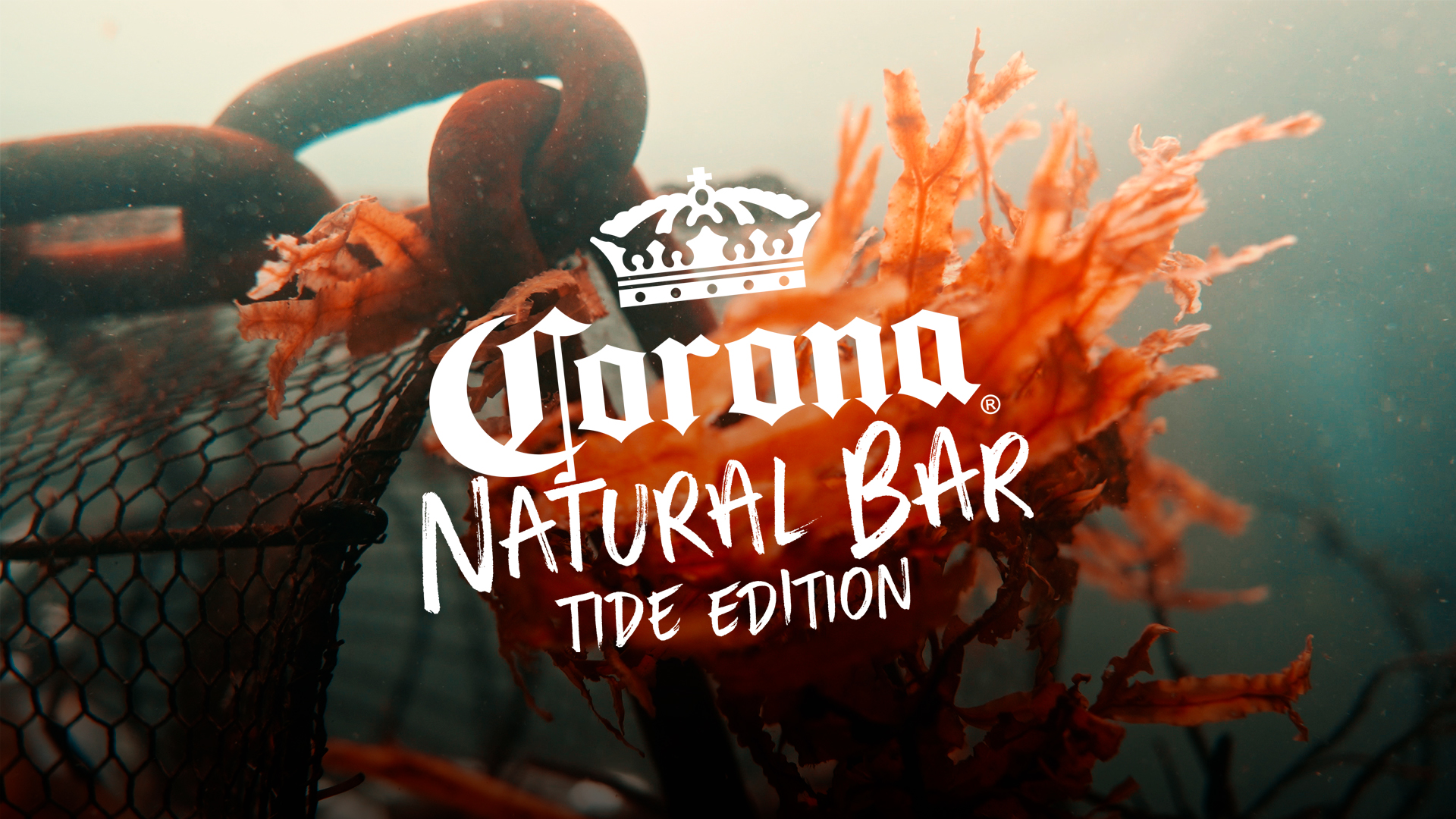 CORONA NATURAL BAR / TIDE EDITION - Agence de Communication & Web à ...